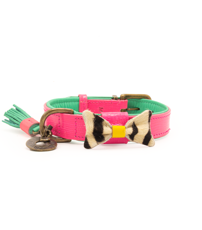 Κολλάρο Dwam Blossom Halsband 2cm Small - Petlove